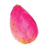 Cacto – Original Prickly Pear Soda – Cactodrinks