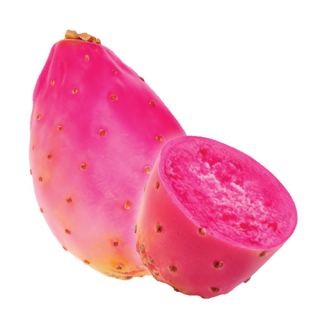 Cacto – Original Prickly Pear Soda – Cactodrinks